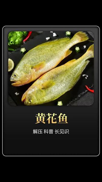 黄花鱼市场价多少钱一斤_今日黄花鱼价格走势-第2张图片-山城妙识 黄花鱼市场价多少钱一斤_今日黄花鱼价格走势-第2张图片-山城妙识