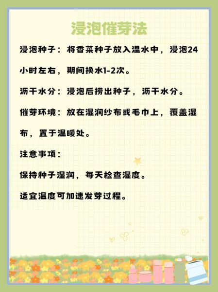 香菜籽要压碎了种吗_香菜籽怎么种发芽快-第1张图片-山城妙识