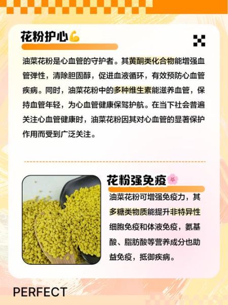 长期吃油菜花粉的危害_有哪些副作用-第2张图片-山城妙识