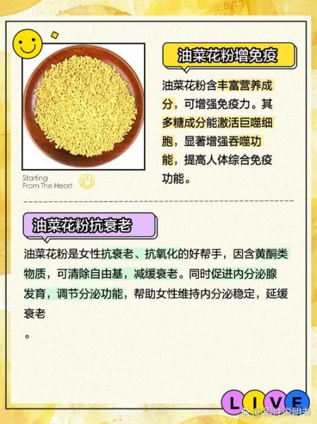 长期吃油菜花粉的危害_有哪些副作用-第1张图片-山城妙识