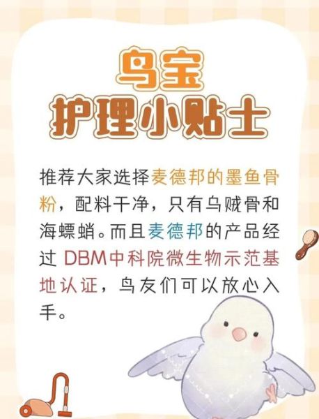 墨鱼骨怎么给鹦鹉吃_鹦鹉吃墨鱼骨的正确方法-第3张图片-山城妙识 墨鱼骨怎么给鹦鹉吃_鹦鹉吃墨鱼骨的正确方法-第3张图片-山城妙识