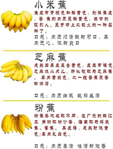 香蕉是酸性还是碱性_吃香蕉会改变体质吗-第1张图片-山城妙识