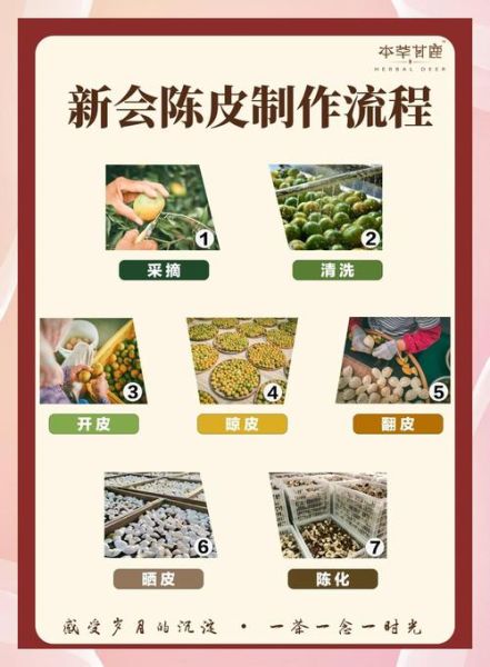 陈皮怎么制作_家庭自制陈皮步骤-第1张图片-山城妙识