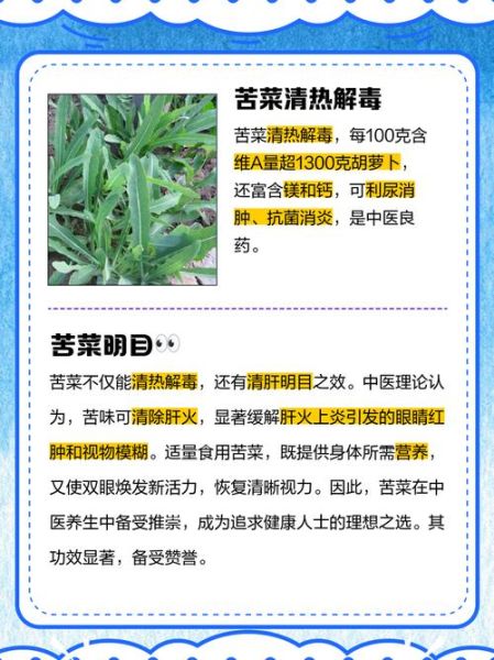 苦菜是什么菜_苦菜的功效与作用-第3张图片-山城妙识 苦菜是什么菜_苦菜的功效与作用-第3张图片-山城妙识