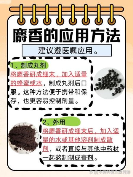 麝香是什么东西_麝香的功效与作用-第2张图片-山城妙识