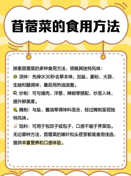 苜蓿一亩收入多少元_苜蓿种植利润怎么样-第1张图片-山城妙识 苜蓿一亩收入多少元_苜蓿种植利润怎么样-第1张图片-山城妙识