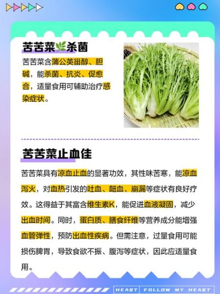 苦菜是什么菜_苦菜的功效与作用-第1张图片-山城妙识 苦菜是什么菜_苦菜的功效与作用-第1张图片-山城妙识