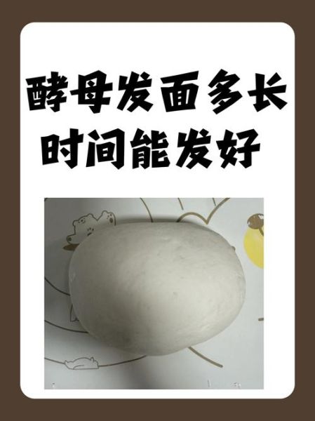 用酵母粉发面怎么发_酵母粉发面多长时间-第1张图片-山城妙识