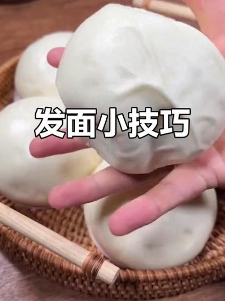 用酵母粉发面怎么发_酵母粉发面多长时间-第3张图片-山城妙识