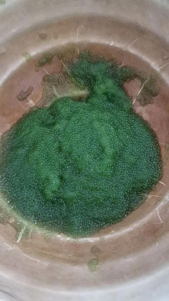 鱼卵的功效与作用_鱼卵的禁忌人群有哪些-第3张图片-山城妙识