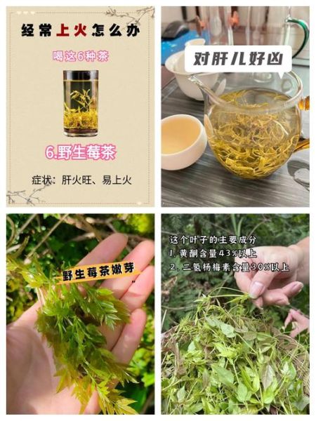 降火的茶叶有哪些_什么茶最去火-第1张图片-山城妙识 降火的茶叶有哪些_什么茶最去火-第1张图片-山城妙识