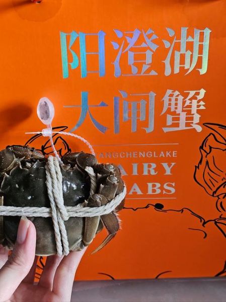 阳澄湖大闸蟹什么时候吃最好_如何辨别真假-第3张图片-山城妙识 阳澄湖大闸蟹什么时候吃最好_如何辨别真假-第3张图片-山城妙识