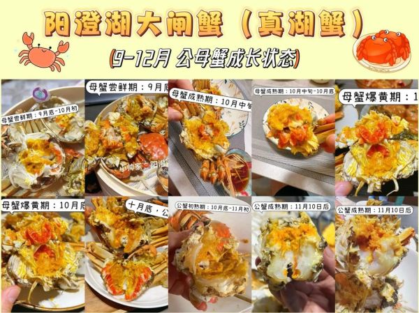 阳澄湖大闸蟹什么时候吃最好_如何辨别真假-第1张图片-山城妙识 阳澄湖大闸蟹什么时候吃最好_如何辨别真假-第1张图片-山城妙识