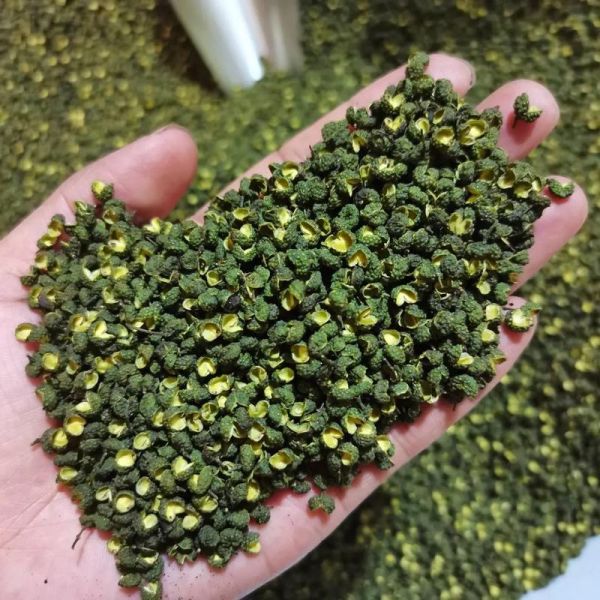 青花椒是麻椒吗_青花椒和麻椒的区别-第3张图片-山城妙识 青花椒是麻椒吗_青花椒和麻椒的区别-第3张图片-山城妙识