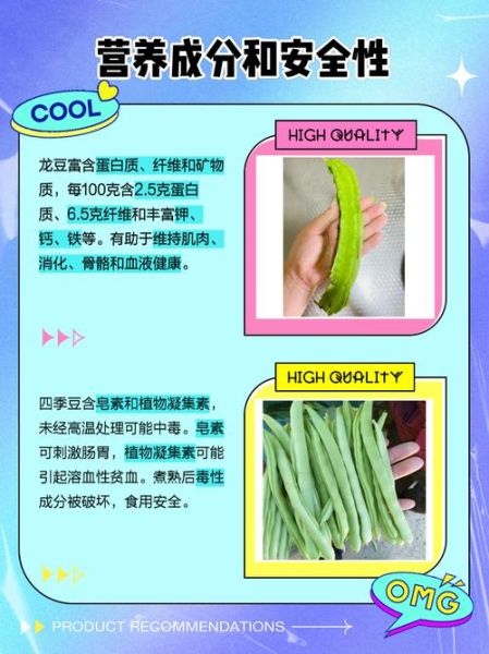 龙豆和四季豆的区别_哪个营养价值更高-第1张图片-山城妙识 龙豆和四季豆的区别_哪个营养价值更高-第1张图片-山城妙识