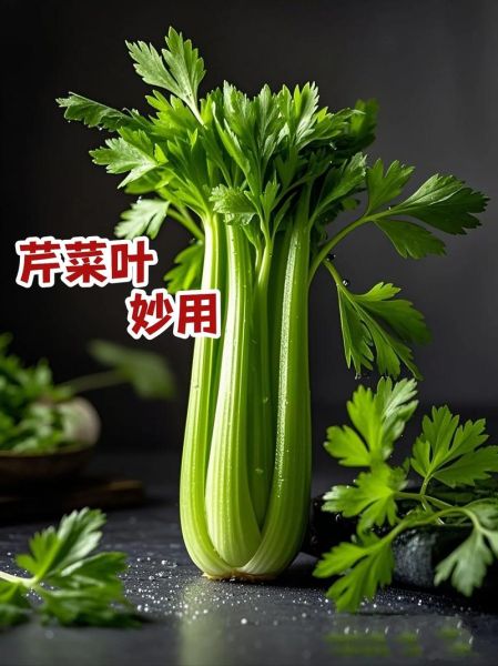 小芹菜叶子能吃吗_小芹菜叶子怎么吃-第1张图片-山城妙识 小芹菜叶子能吃吗_小芹菜叶子怎么吃-第1张图片-山城妙识