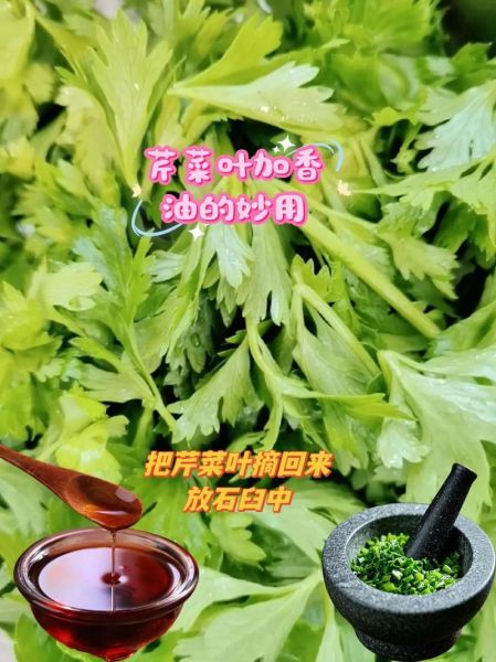 小芹菜叶子能吃吗_小芹菜叶子怎么吃-第3张图片-山城妙识 小芹菜叶子能吃吗_小芹菜叶子怎么吃-第3张图片-山城妙识
