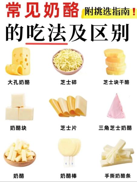 芝士和奶酪的区别_哪种更健康-第2张图片-山城妙识