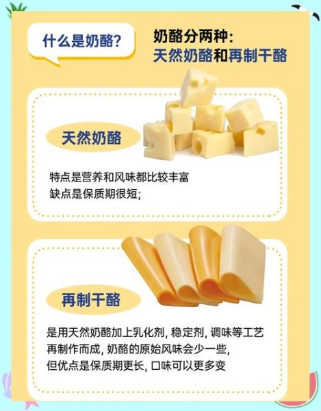 芝士和奶酪的区别_哪种更健康-第1张图片-山城妙识