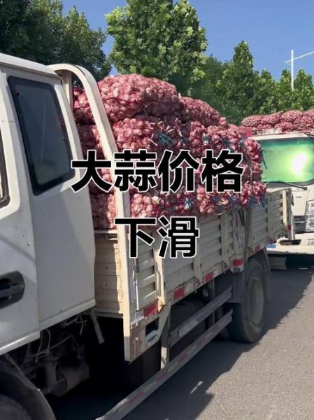 金乡大蒜价格走势图怎么看_金乡大蒜价格为何波动大-第2张图片-山城妙识 金乡大蒜价格走势图怎么看_金乡大蒜价格为何波动大-第2张图片-山城妙识