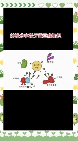 蚕豆病是什么_蚕豆病遗传吗-第1张图片-山城妙识