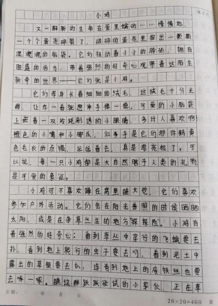 鸡米饭作文怎么写_鸡米饭作文开头怎么写-第1张图片-山城妙识 鸡米饭作文怎么写_鸡米饭作文开头怎么写-第1张图片-山城妙识