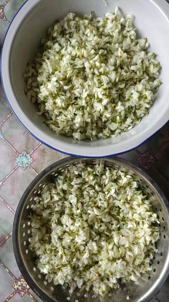 蒸槐花怎么蒸不黄_蒸槐花需要焯水吗-第1张图片-山城妙识 蒸槐花怎么蒸不黄_蒸槐花需要焯水吗-第1张图片-山城妙识