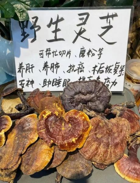 灵芝最简单的食用方法_灵芝怎么吃最方便-第3张图片-山城妙识 灵芝最简单的食用方法_灵芝怎么吃最方便-第3张图片-山城妙识