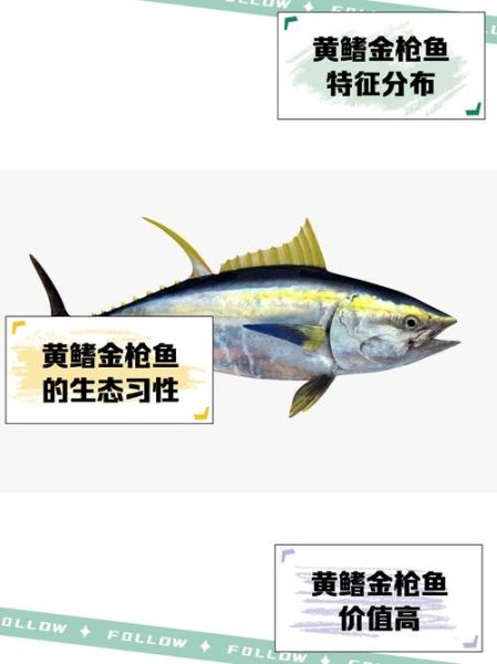 金枪鱼营养价值_金枪鱼禁忌人群-第3张图片-山城妙识 金枪鱼营养价值_金枪鱼禁忌人群-第3张图片-山城妙识