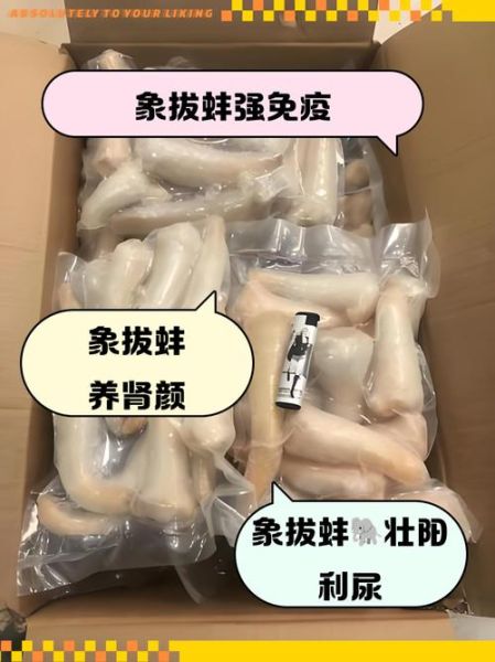拔蚌的功效与作用_拔蚌怎么吃最营养-第1张图片-山城妙识