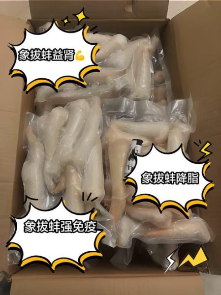 拔蚌的功效与作用_拔蚌怎么吃最营养-第3张图片-山城妙识