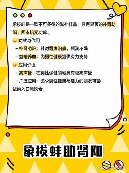 拔蚌的功效与作用_拔蚌怎么吃最营养-第2张图片-山城妙识