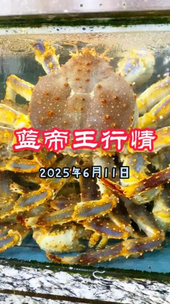 蓝蟹多少钱一斤_蓝蟹价格行情-第2张图片-山城妙识 蓝蟹多少钱一斤_蓝蟹价格行情-第2张图片-山城妙识