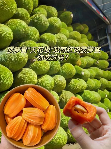 菠萝菠萝蜜视频在线播放观看高清_怎么免费看-第1张图片-山城妙识 菠萝菠萝蜜视频在线播放观看高清_怎么免费看-第1张图片-山城妙识