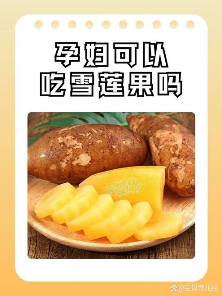 雪莲子不适合哪些人吃_孕妇能吃雪莲子吗-第1张图片-山城妙识 雪莲子不适合哪些人吃_孕妇能吃雪莲子吗-第1张图片-山城妙识