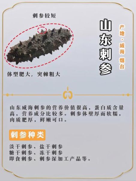 野生海参怎么辨别_野生海参价格多少钱一斤-第1张图片-山城妙识 野生海参怎么辨别_野生海参价格多少钱一斤-第1张图片-山城妙识
