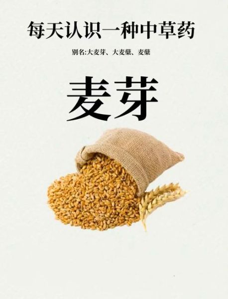 麦芽图片怎么拍_麦芽图片拍摄技巧-第1张图片-山城妙识 麦芽图片怎么拍_麦芽图片拍摄技巧-第1张图片-山城妙识