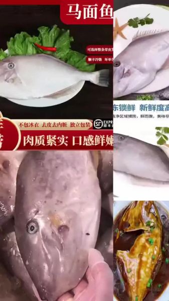 马面鱼怎么剥皮_马面鱼去皮技巧-第2张图片-山城妙识 马面鱼怎么剥皮_马面鱼去皮技巧-第2张图片-山城妙识