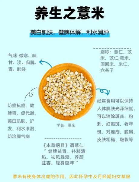薏米怎么煮去湿气_薏米去湿气正确煮法-第1张图片-山城妙识 薏米怎么煮去湿气_薏米去湿气正确煮法-第1张图片-山城妙识