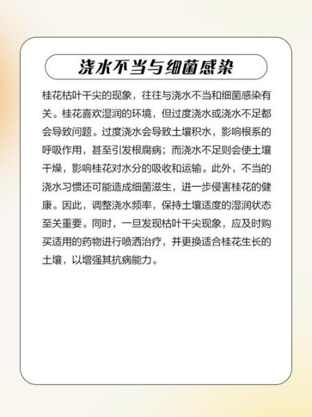 腌桂花变黑原因_还能吃吗-第2张图片-山城妙识 腌桂花变黑原因_还能吃吗-第2张图片-山城妙识