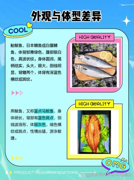 鲐鱼为什么比鲅鱼便宜_鲐鱼和鲅鱼价格差异原因-第1张图片-山城妙识 鲐鱼为什么比鲅鱼便宜_鲐鱼和鲅鱼价格差异原因-第1张图片-山城妙识