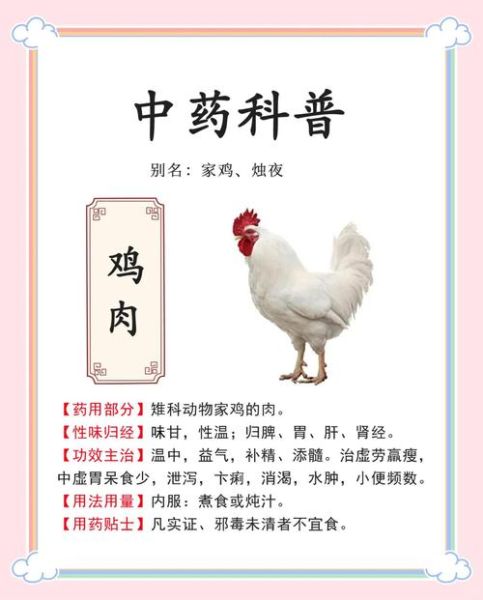 鸡肉的营养价值_鸡肉有哪些药用功效-第1张图片-山城妙识 鸡肉的营养价值_鸡肉有哪些药用功效-第1张图片-山城妙识