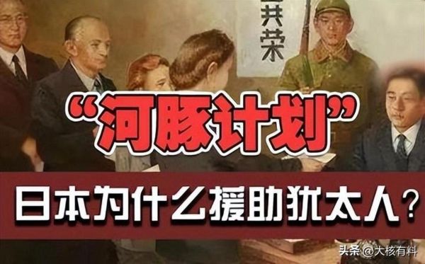 河豚计划是什么_河豚计划对日本的影响-第2张图片-山城妙识 河豚计划是什么_河豚计划对日本的影响-第2张图片-山城妙识
