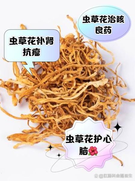 虫草花能长期泡水喝吗_虫草花泡水喝的副作用-第1张图片-山城妙识