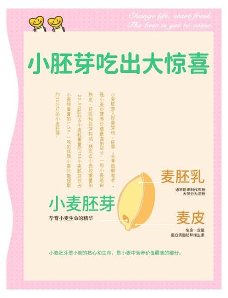 小麦胚芽的功效与作用_小麦胚芽怎么吃最好-第2张图片-山城妙识 小麦胚芽的功效与作用_小麦胚芽怎么吃最好-第2张图片-山城妙识