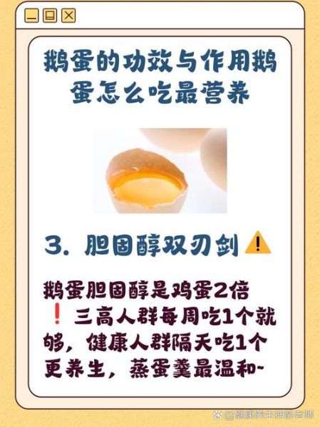 鹅蛋的营养价值_鹅蛋怎么吃最营养-第2张图片-山城妙识