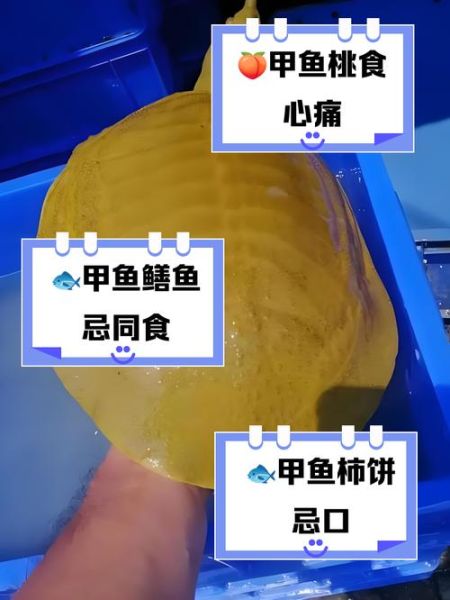 吃甲鱼会不会影响运气_甲鱼风水禁忌-第1张图片-山城妙识 吃甲鱼会不会影响运气_甲鱼风水禁忌-第1张图片-山城妙识