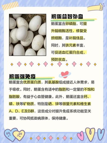 鹅蛋的营养价值_鹅蛋怎么吃最营养-第3张图片-山城妙识