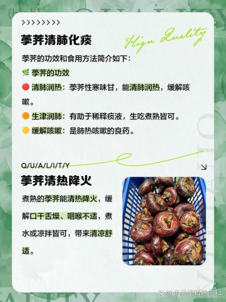 荸荠煮熟的功效_孕妇能吃吗-第1张图片-山城妙识