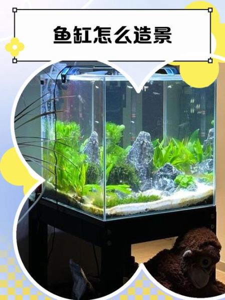 鱼缸造景教程_新手如何造景-第1张图片-山城妙识